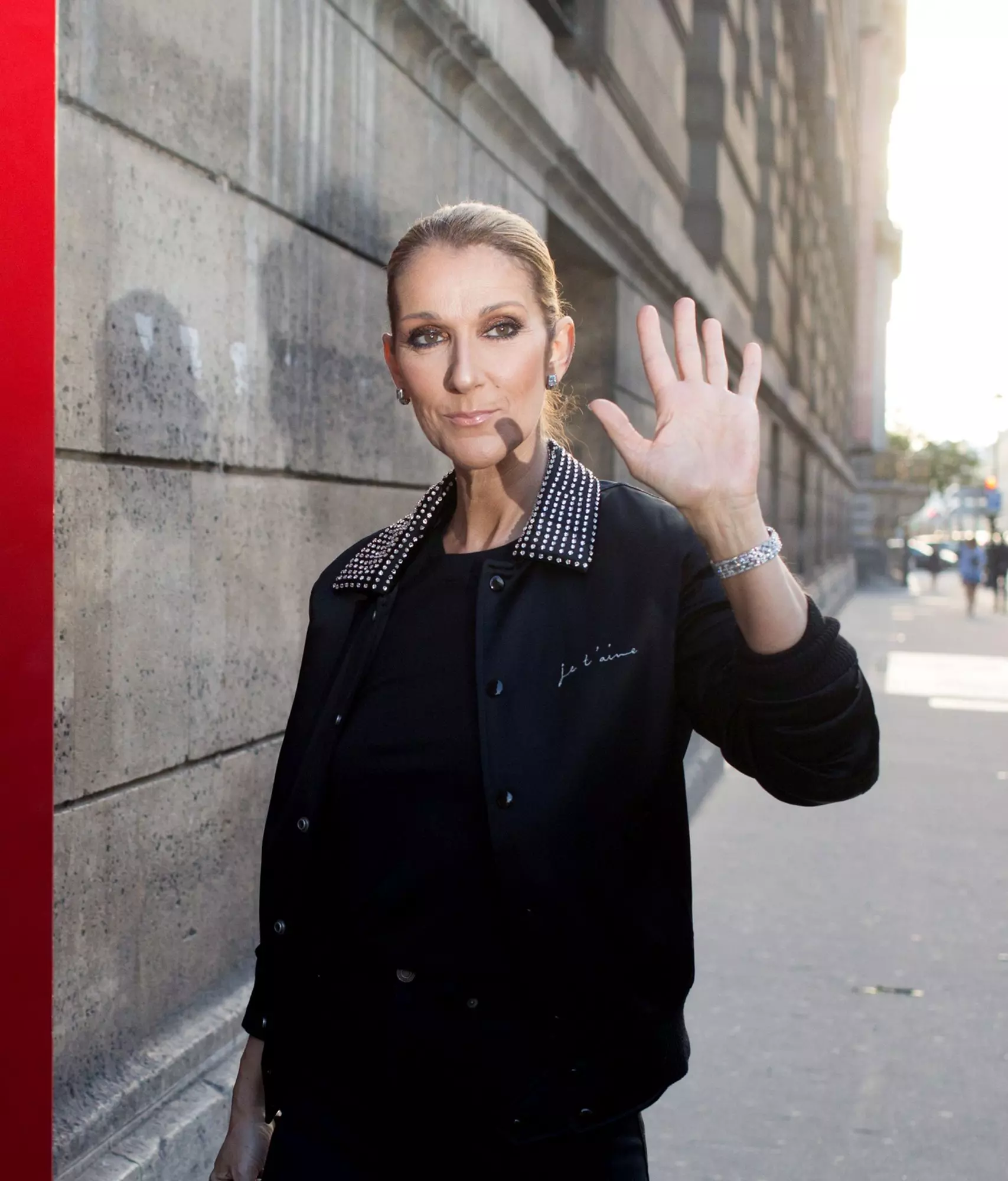 Celine Dion, apariție-surpriză la Premiile Grammy! Artista a fost ...