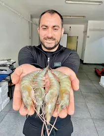 Cine este adevăratul patron de la Taverna Racilor: "E un joc de ...