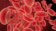 Leguma care “mănâncă” zahărul din sânge! Se spune că e dușmanul de temut al diabetului! E ieftină, dar puțini știu câte beneficii are pentru sănătate!