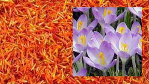 Sofran | avantaje.ro