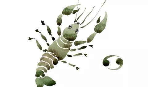 Horoscop anual 2025 Rac. Previziuni pentru zodia Rac, în 2025 - Elle.ro