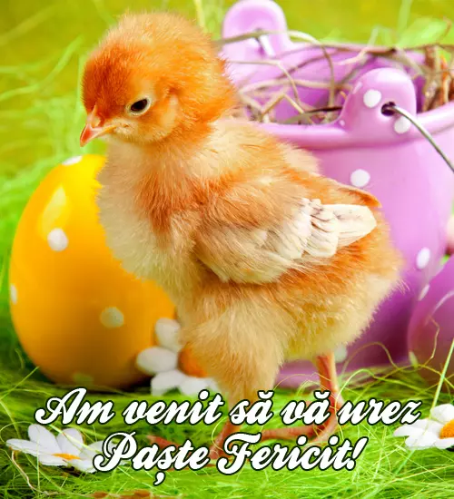 Felicitari de Paste 2017 | Unica.ro