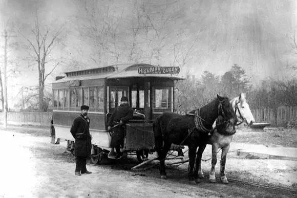 România: Aparatul radar al Poliției Rutiere a înregistrat doi cai care ...