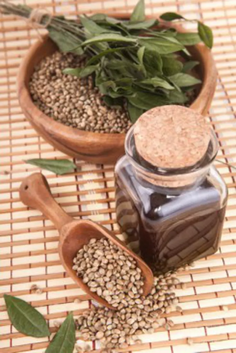 Uleiul de cânepă: Ce beneficii are | Unica.ro