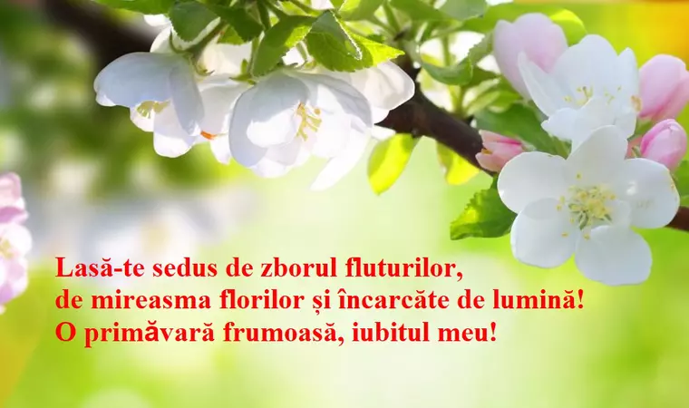 O primăvară frumoasă! Cele mai frumoase mesaje de primăvară pentru cei ...