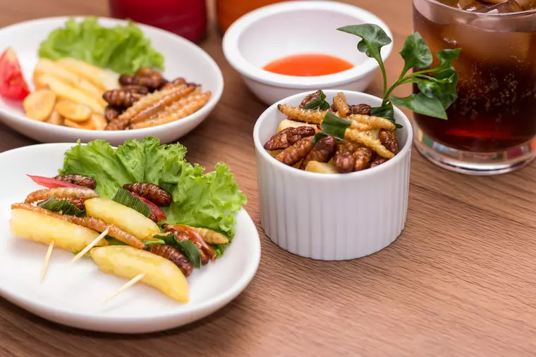 Insectele comestibile. Cum se prepară și ce beneficii au! | Unica.ro