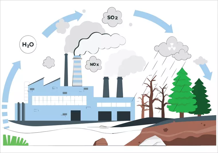 Ce este ploaia acidă. De ce se formează și care sunt efectele ei | Unica.ro