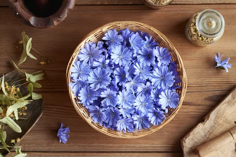 Care sunt florile comestibile | Unica.ro