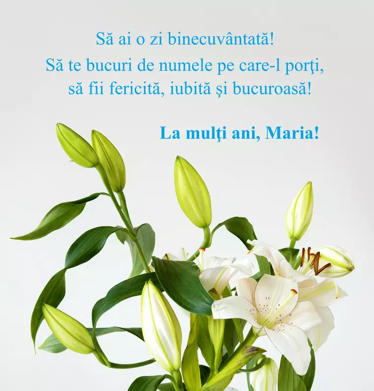 Mesaje de Sfânta Maria 2025 – urări și felicitări de Sf. Maria pe 8 ...
