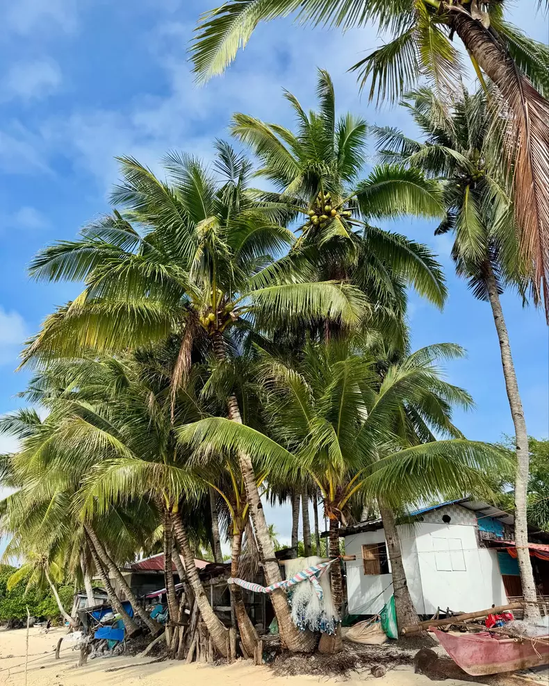 Imagini din Bali surprinse de actrița Doina Teodoru (2) | Unica.ro