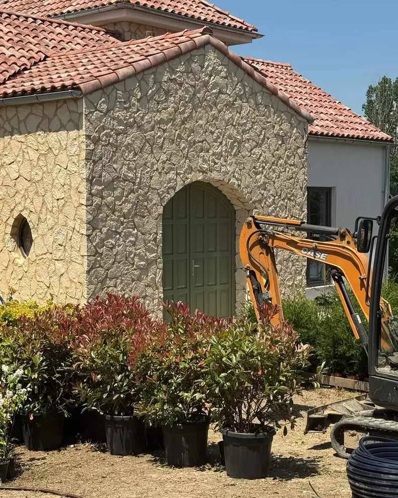 Noi imagini din casa de la Șusani a Adelei Popescu. „Am tot promis un ...