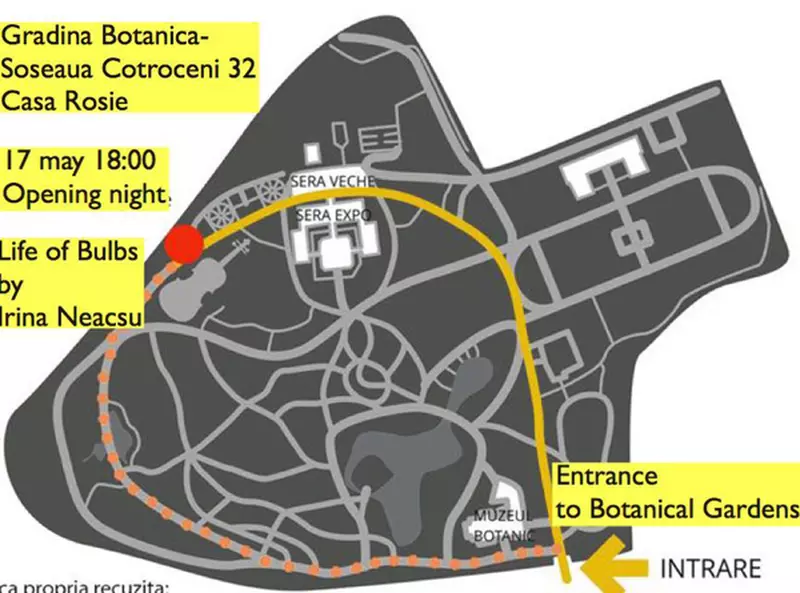 Irina Neacșu - “Life of Bulbs” la Grădina Botanică - Elle.ro