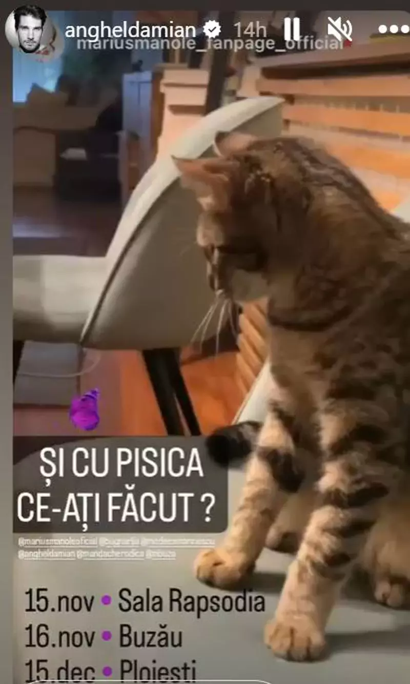 Anunțul făcut de Theo Rose, după ce tatăl ei a confirmat că artista este însărcinată cu primul ...