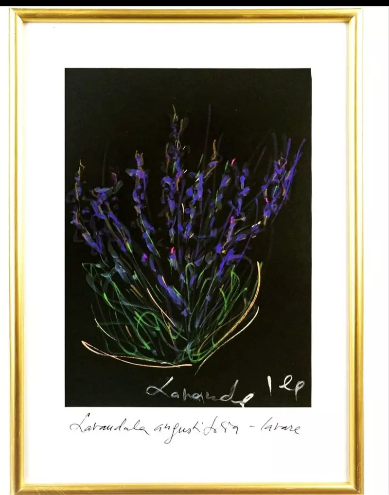 Elsa Exarhu aduce arta românească pe Riviera Franceză - Elle.ro