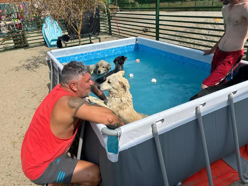 PAPI LAND - Prieteni pe viață este cel mai recent reality show dedicat ...