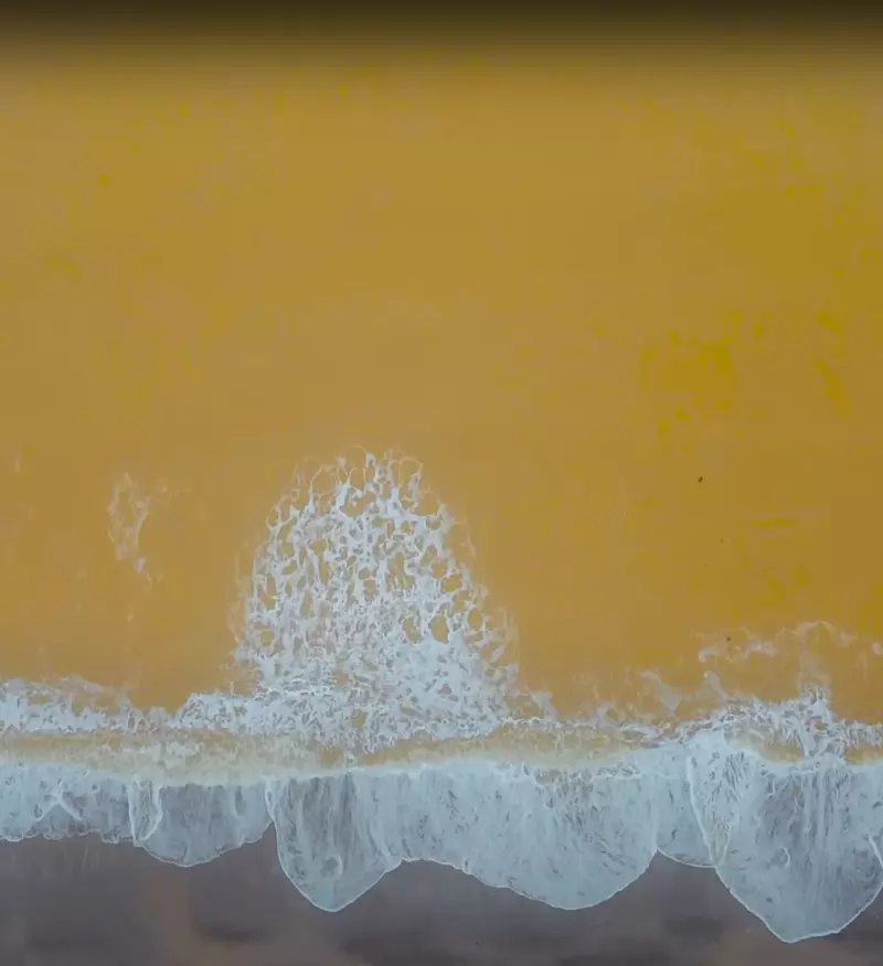 Fenomen rar în partea de nord a Mării Negre. Apa a devenit galbenă ...