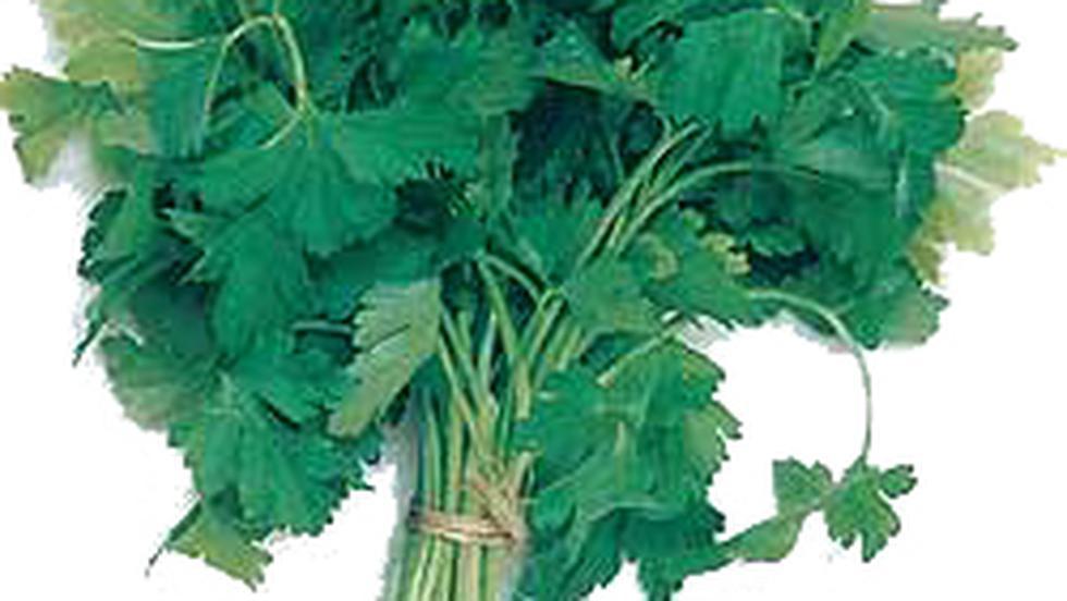 Patrunjelul | P | Avantaje.ro - De 20 de ani pretuieste femei ca tine